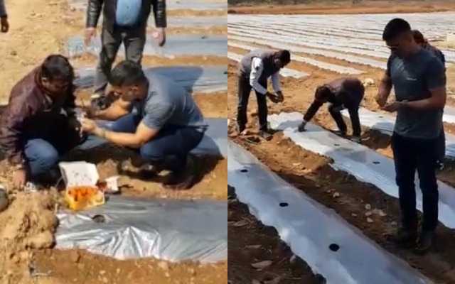 MS Dhoni turns farmer; shares a video of him doing organic farming